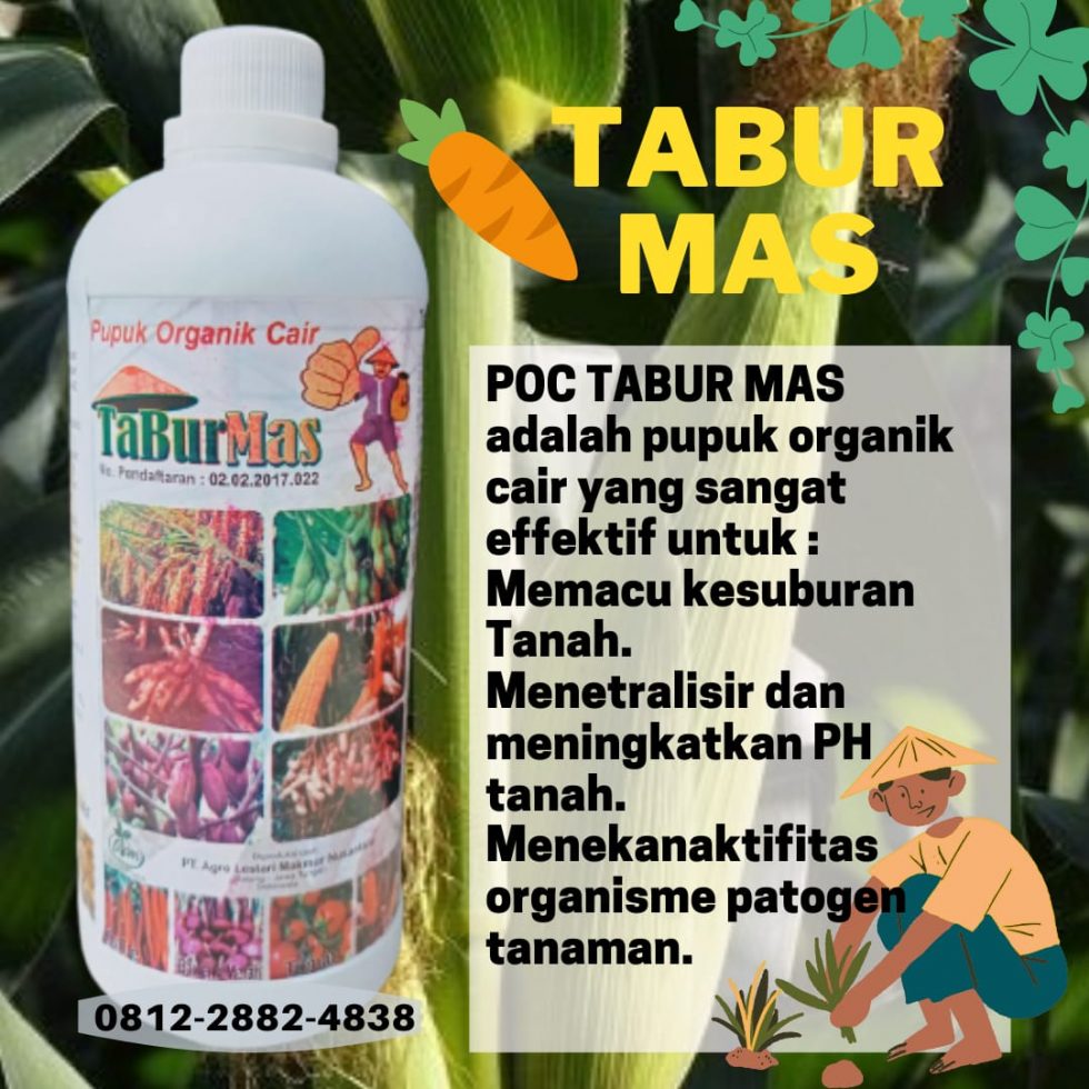 POC TABUR MAS Arsip - Kebun Sayuran, Paket Benih sayur, Paket Urban Farming