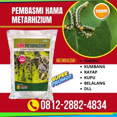 AMPUH! 0812-2882-4834 Pusat Obat Hama Kutu Putih Gondokusuman