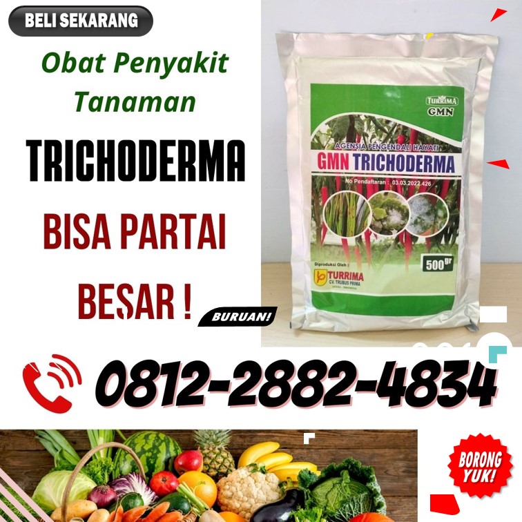 ORGANIK! 0812-2882-4834 Pusat Trichoderma Harzianum Karanganyar